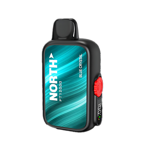 North FT12000 Disposable Vape | 5% Nic in 33 Flavors