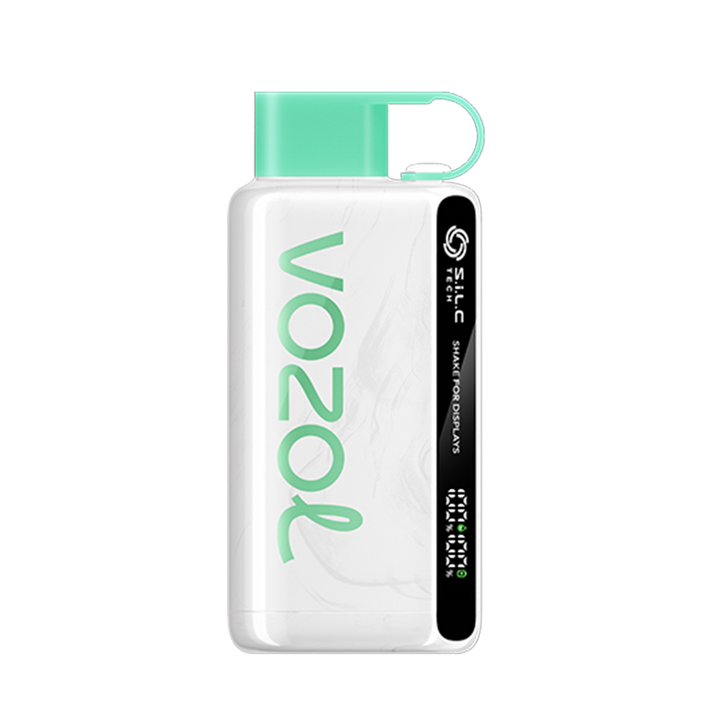 Vozol Star 12000 Disposable Vape